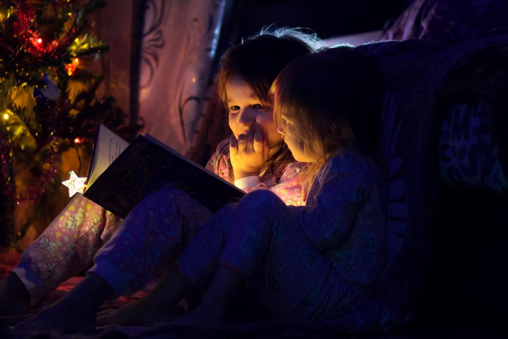 Bébés Lecteurs de Noël - LA RUCHE